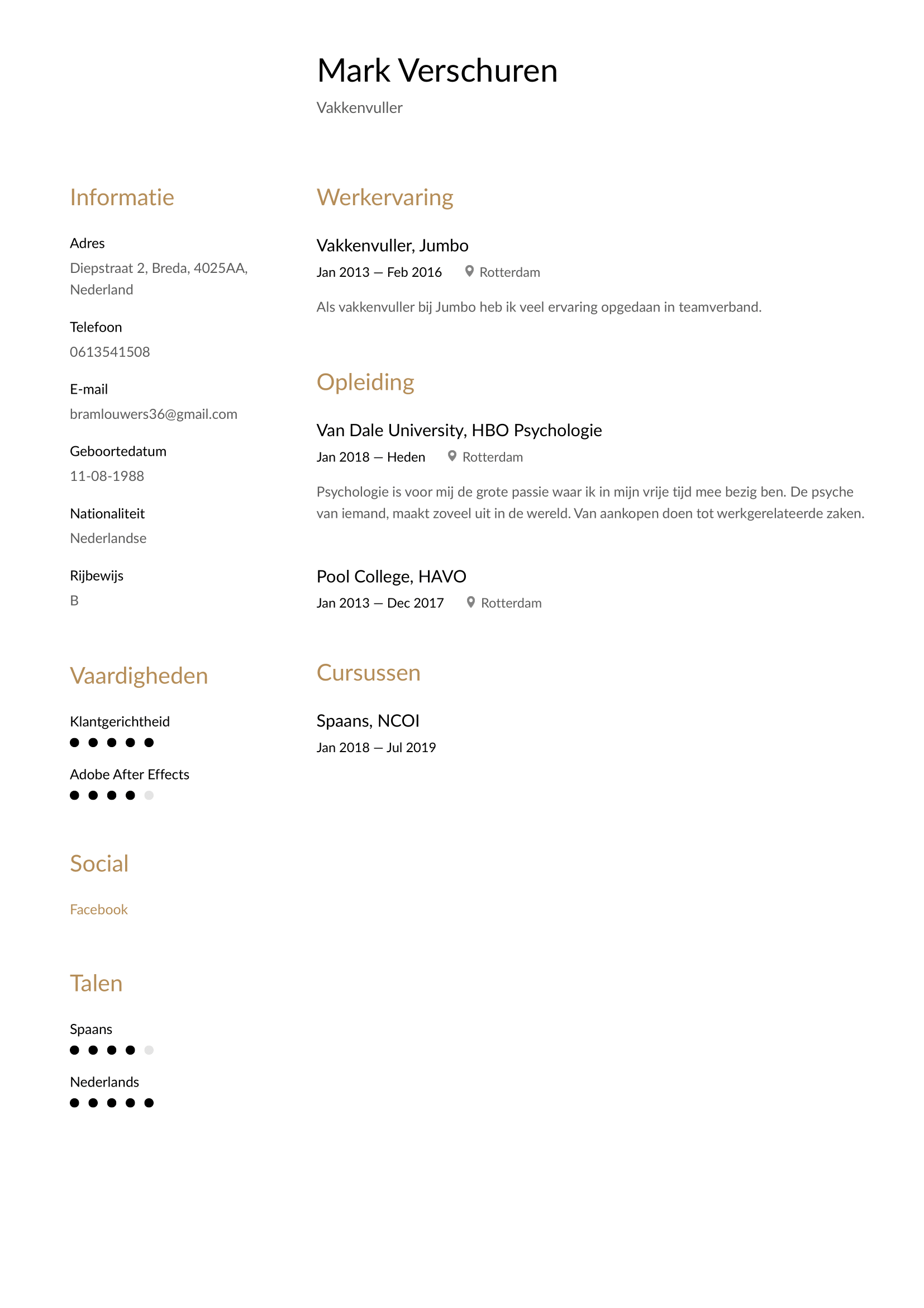 CV voorbeeld vakkenvuller *2020* - Download Gratis - PerfectCV.nl