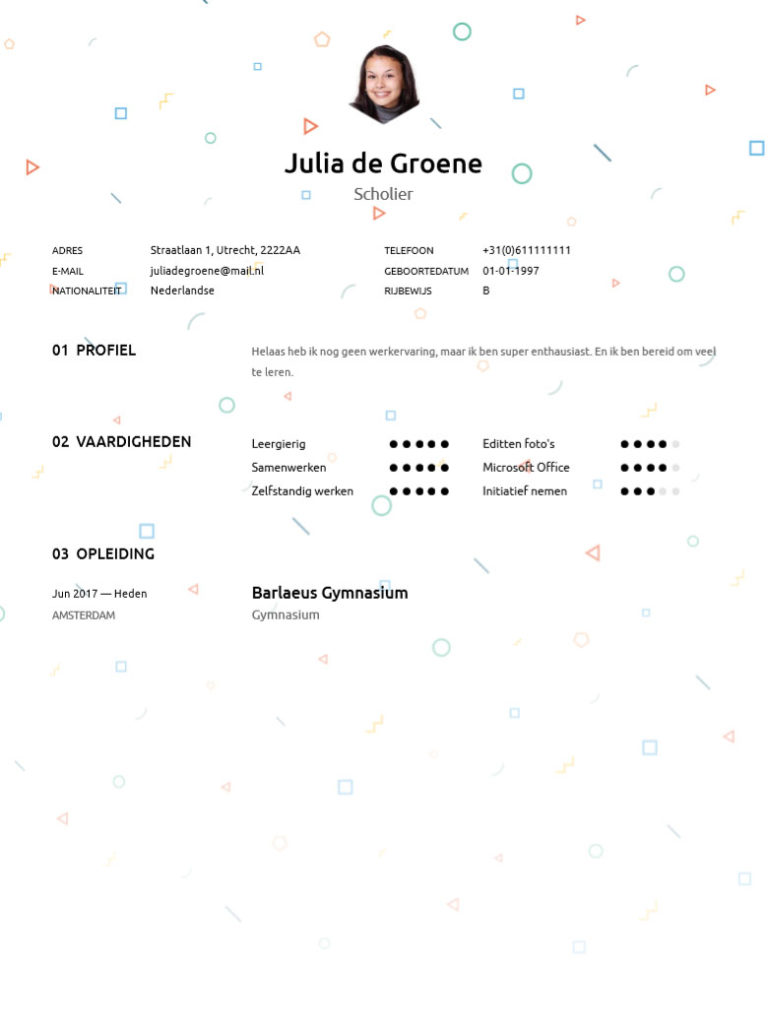 Scholieren Cv maken? Download gratis het Voorbeeld Cv. - Perfect CV